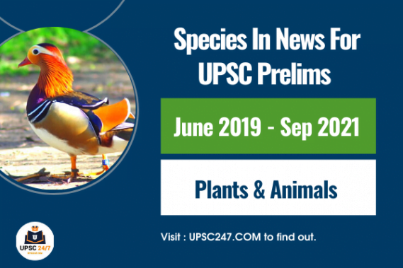 Species In News For UPSC Pdf 2022 | Most Important Species